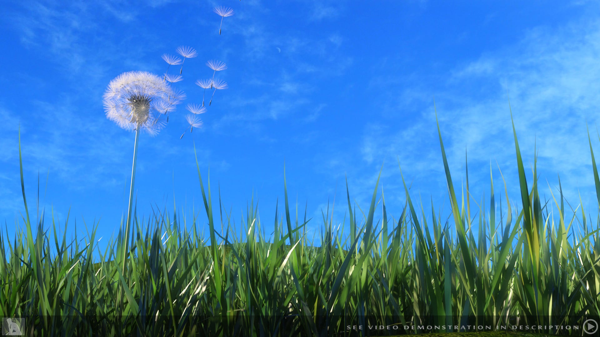 iREAL Animated Dandelion | Daz 3D