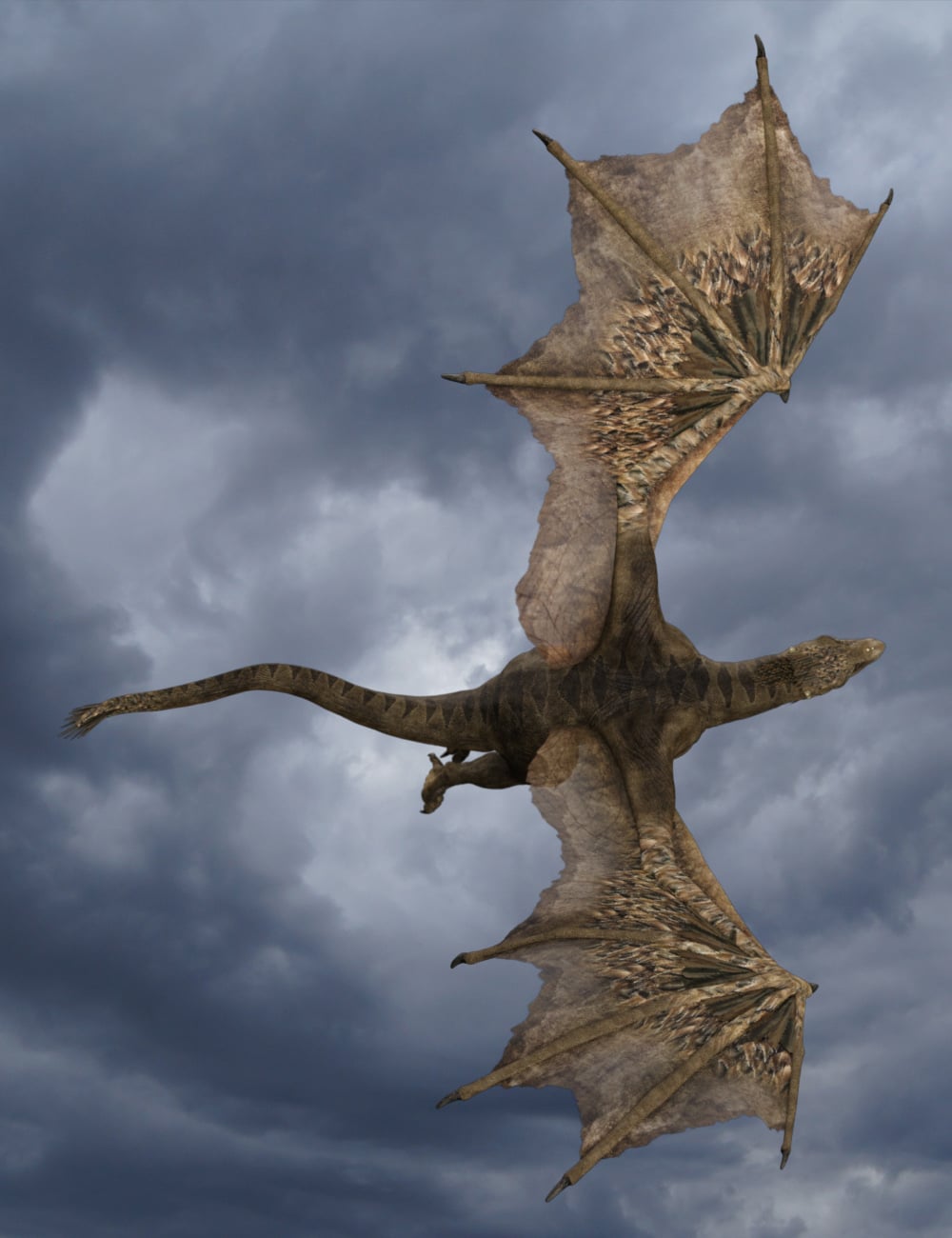 Raptor – The Feathered Dragon HD | Daz 3D