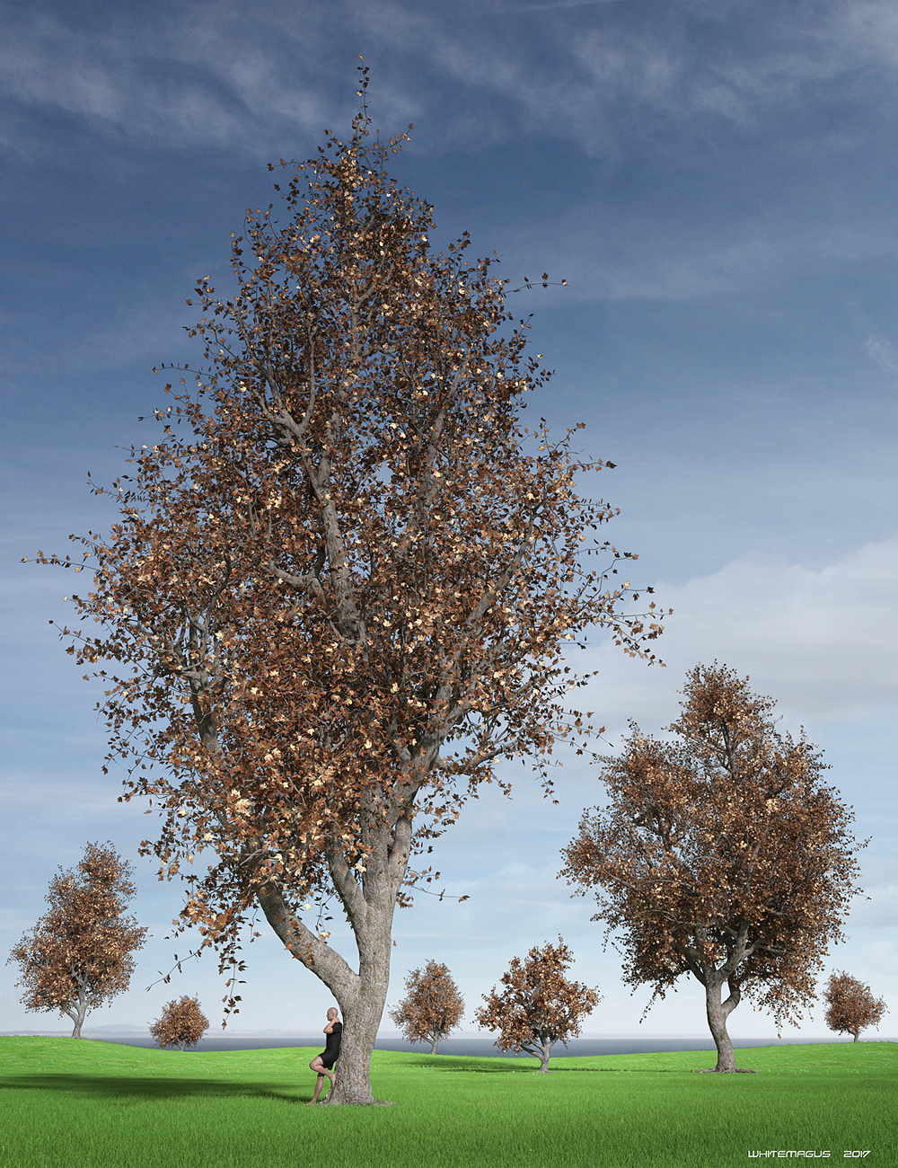 Hybrid Trees Collection | Daz 3D