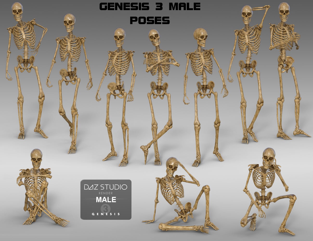 Midnight Skeleton | Daz 3D