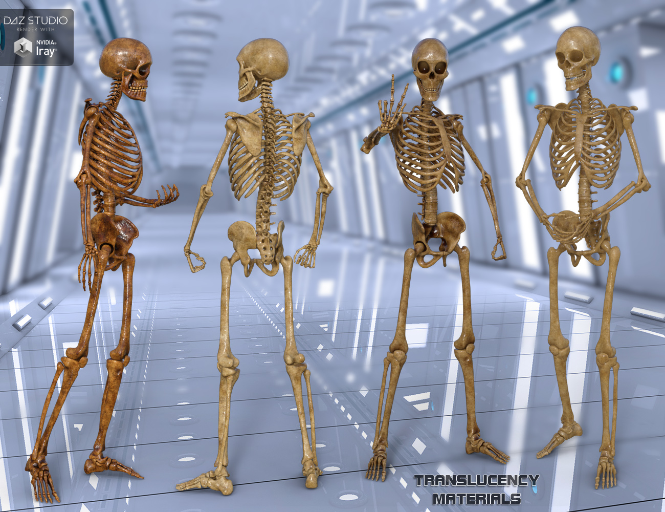 Midnight Skeleton | Daz 3D