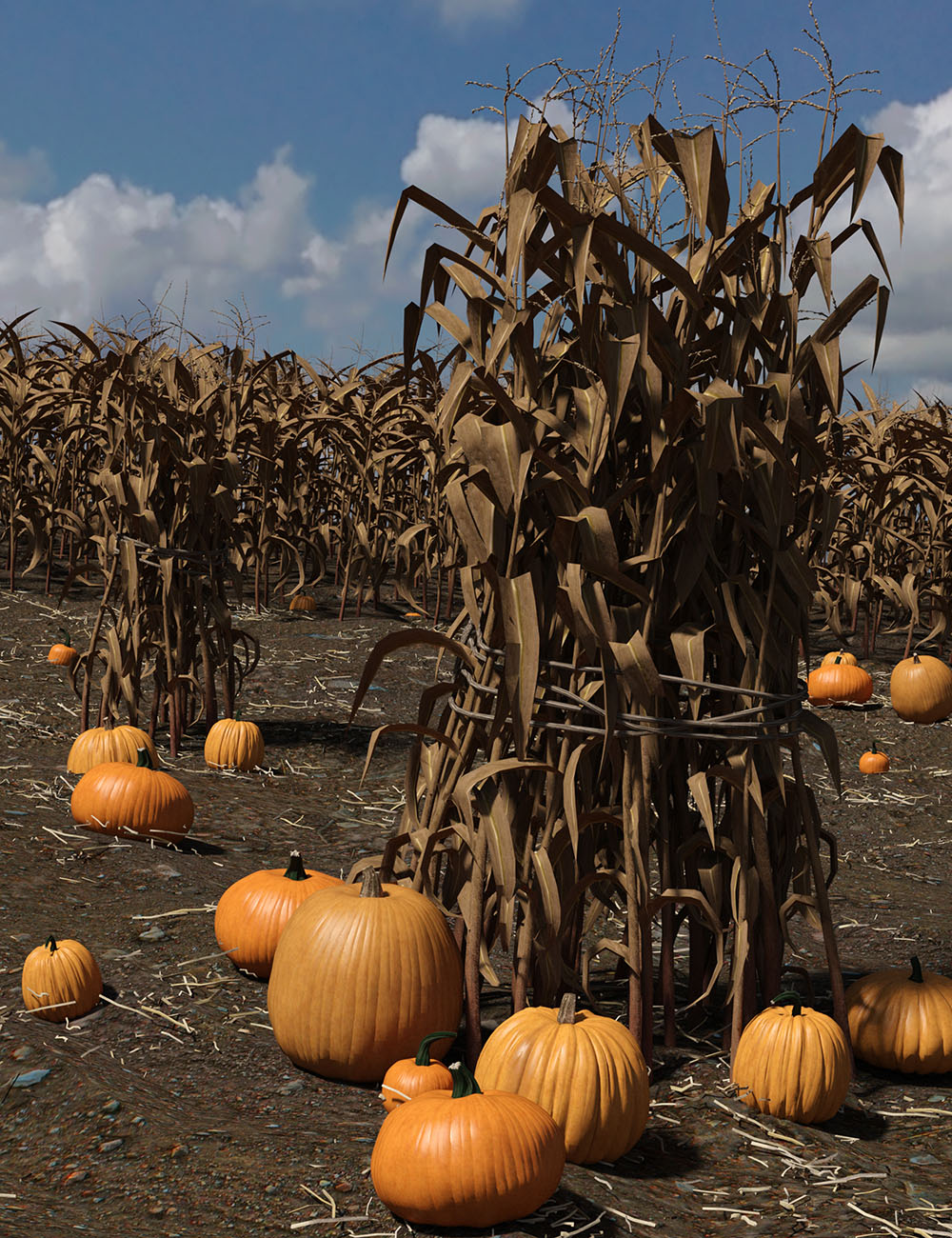 Corn Stalks and Fields | Daz 3D