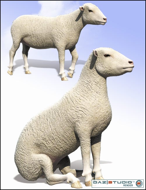 DAZ Sheep | Daz 3D