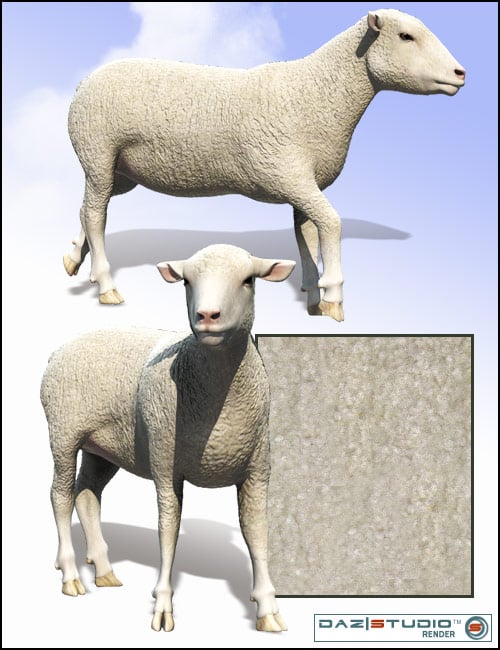 DAZ Sheep | Daz 3D