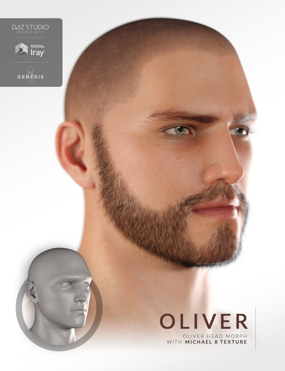 Shimuzu's Elite Head Morphs for Genesis 8 Male | Daz 3D