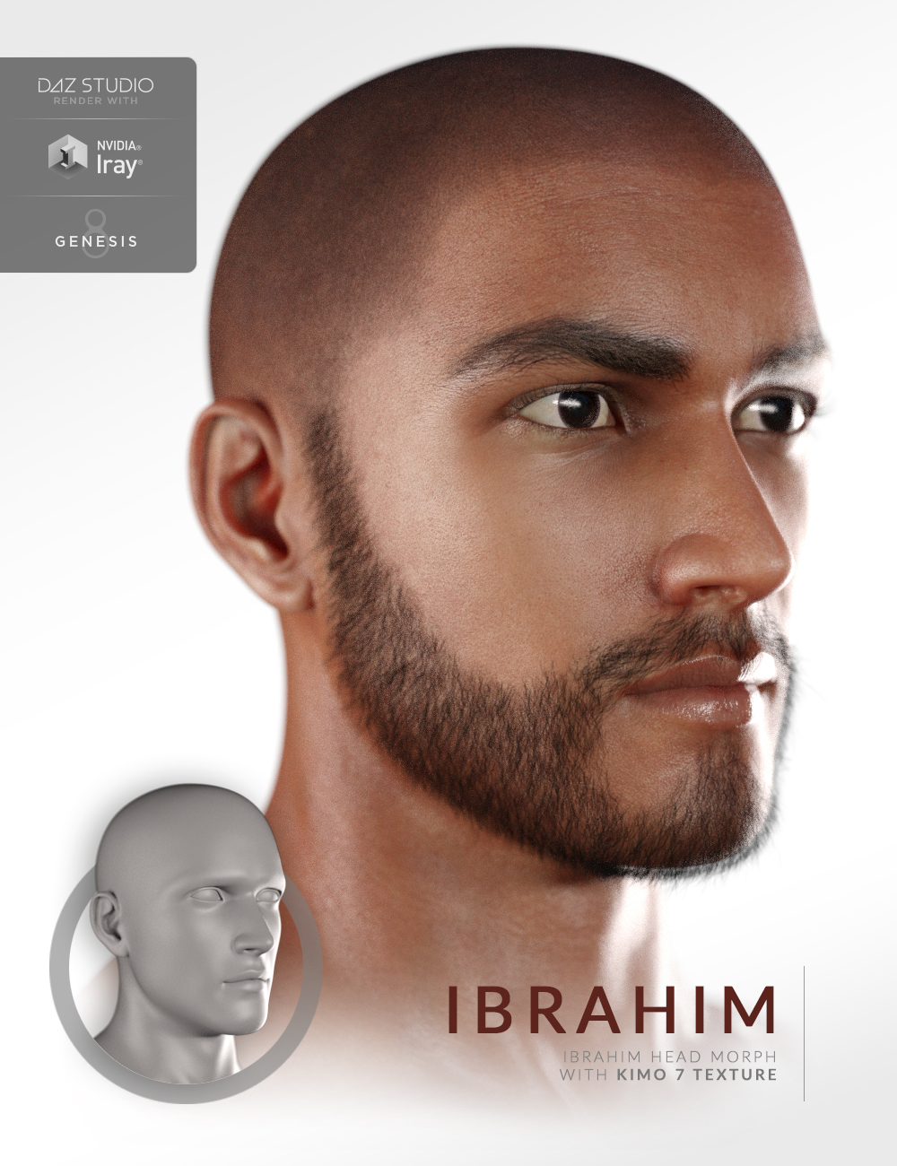 Shimuzu's Elite Head Morphs for Genesis 8 Male | Daz 3D