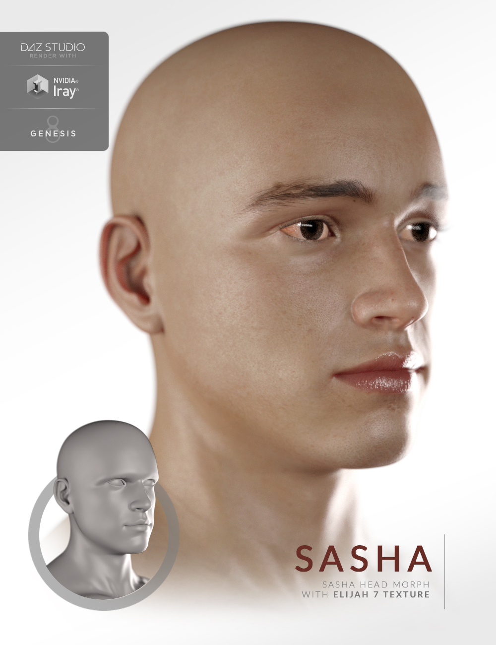 Shimuzu's Elite Head Morphs for Genesis 8 Male | Daz 3D