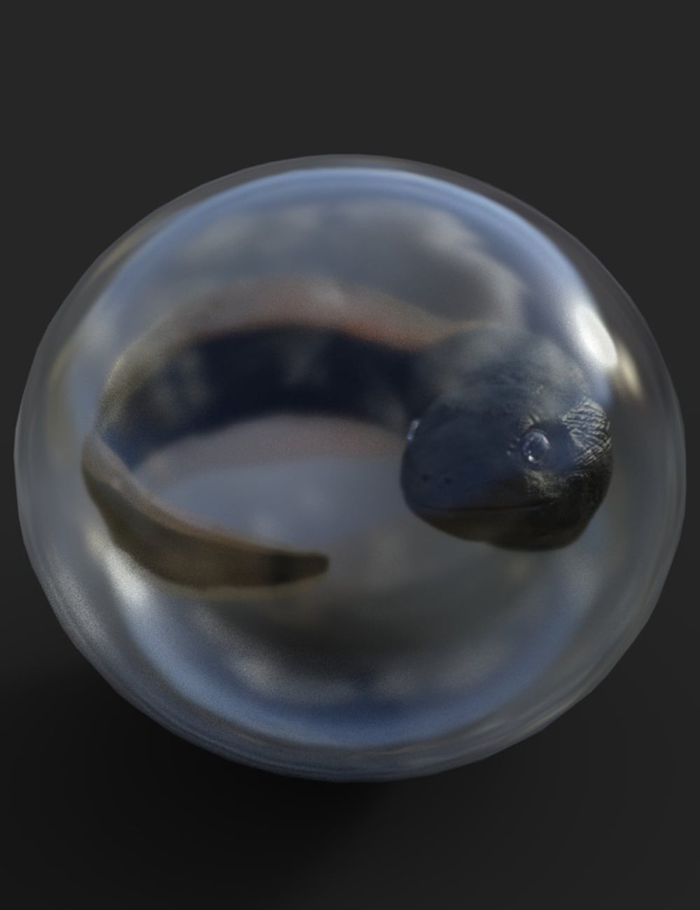 Amazon Tree Frogs and Tadpole | Daz 3D
