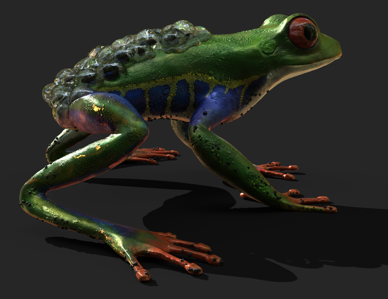 Amazon Tree Frogs and Tadpole | Daz 3D