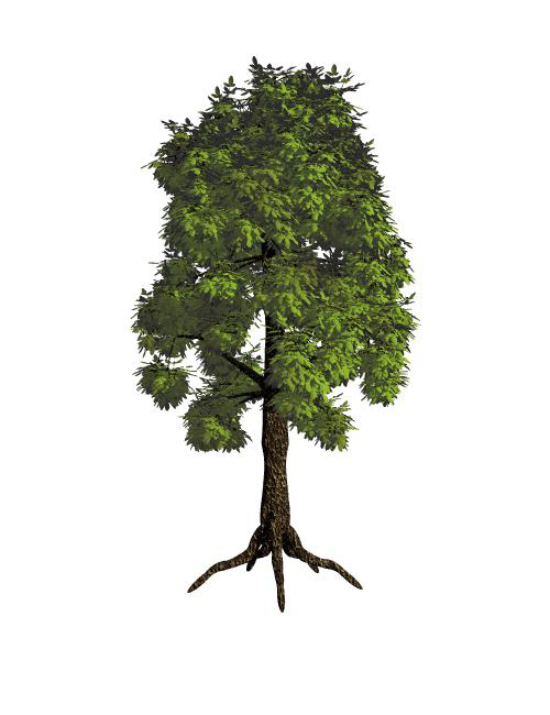 Clay's Tree Presets | Daz 3D