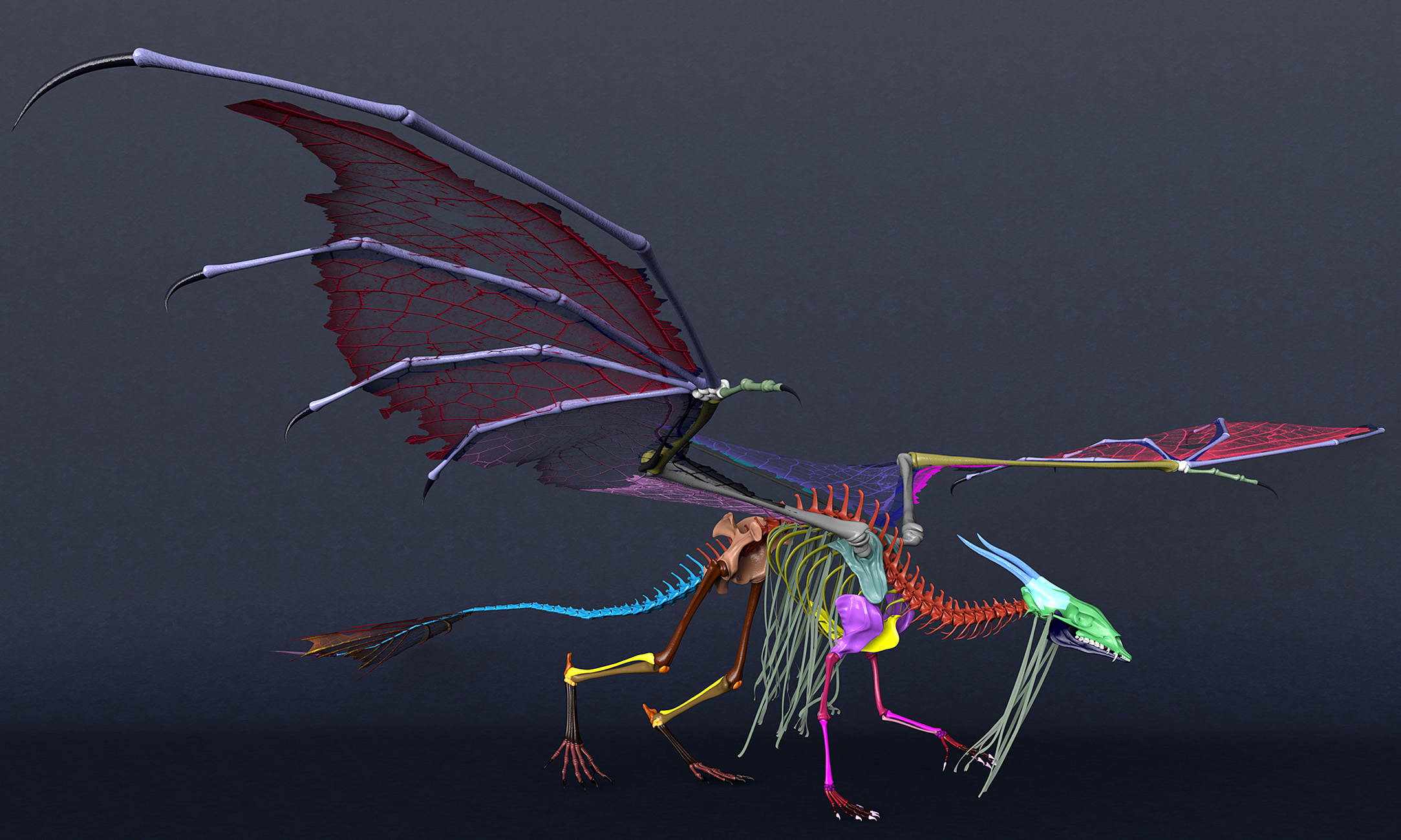 dForce Dragon Wraith Skeleton and Accessories | Daz 3D