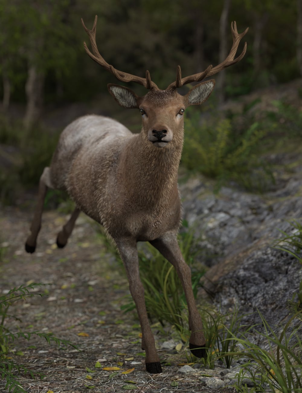Tane The Old Deer for Daz Horse 2 | Daz 3D