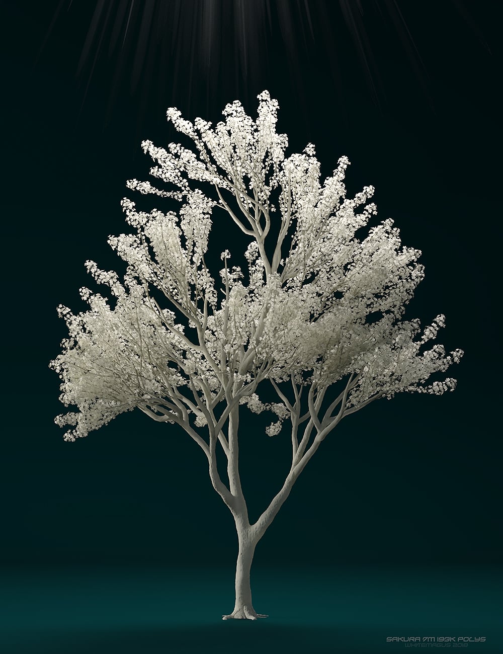 Sakura Ultimate Tree | Daz 3D
