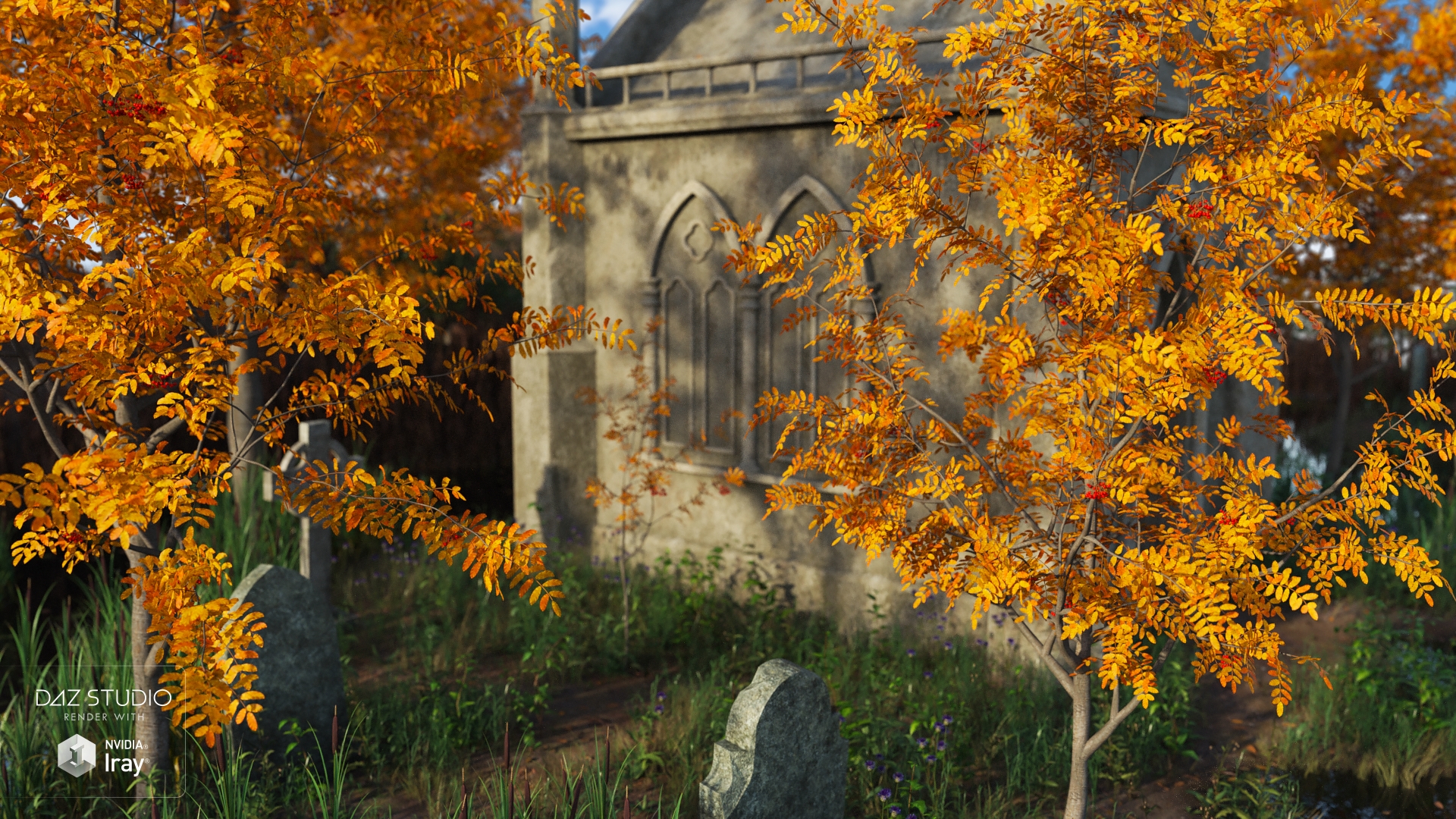 Rowan Tree | Daz 3D
