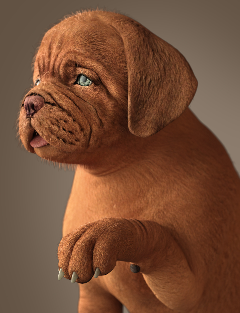 Benji The Puppy HD for Daz Dog 8 | Daz 3D