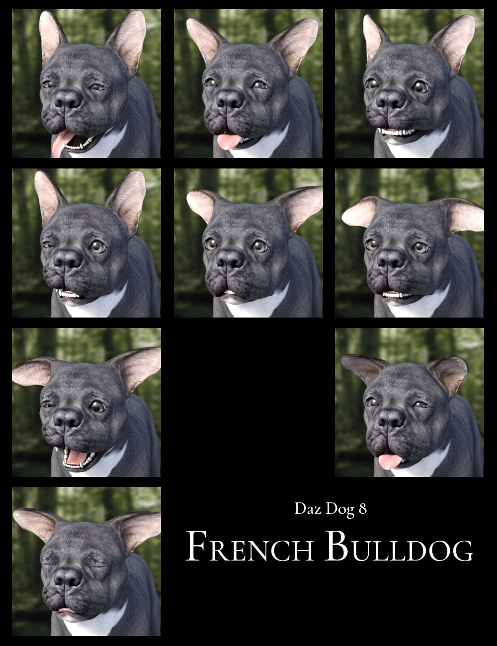 GOOD DOG! Expressions for Daz Dog 8 | Daz 3D