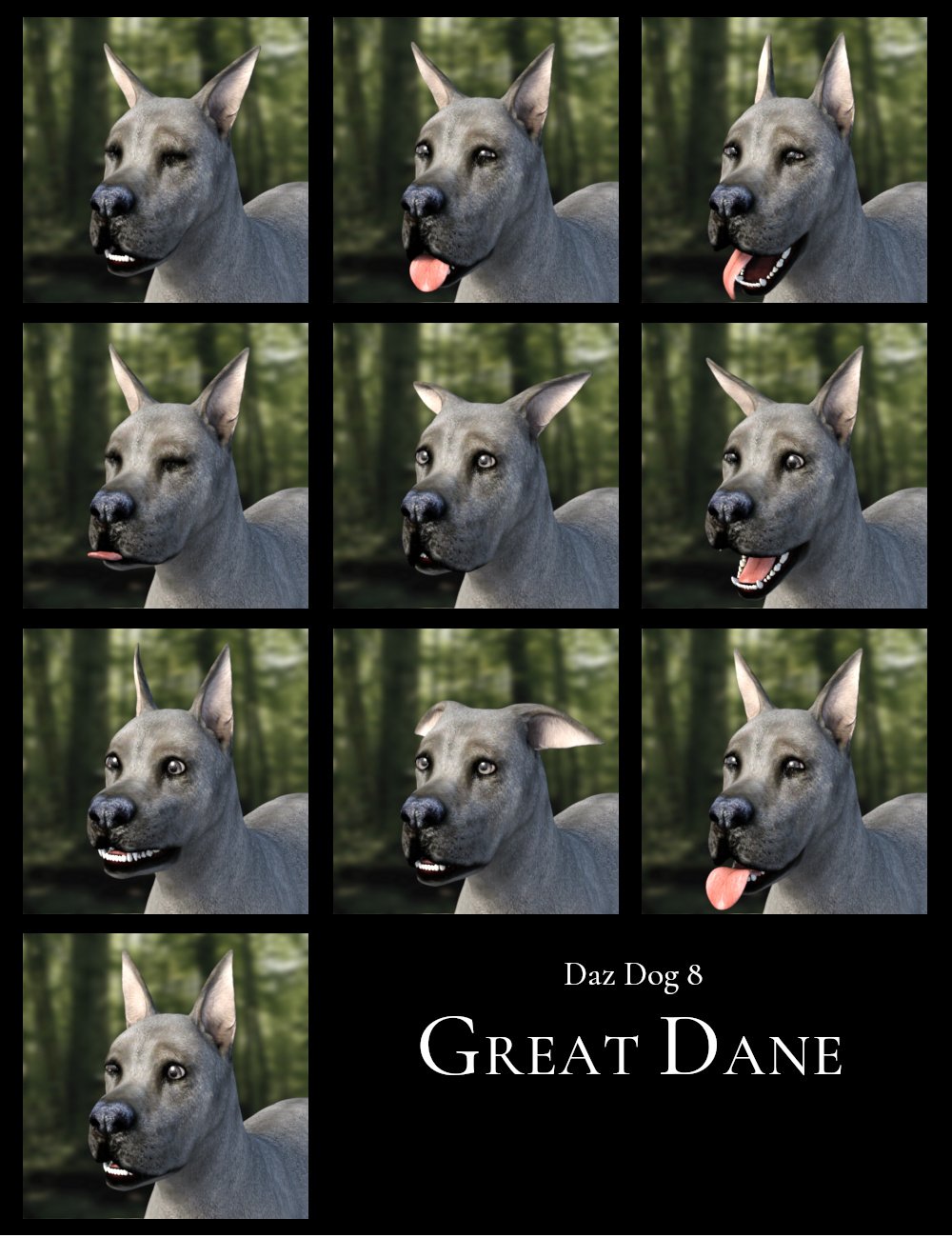 GOOD DOG! Expressions for Daz Dog 8 | Daz 3D