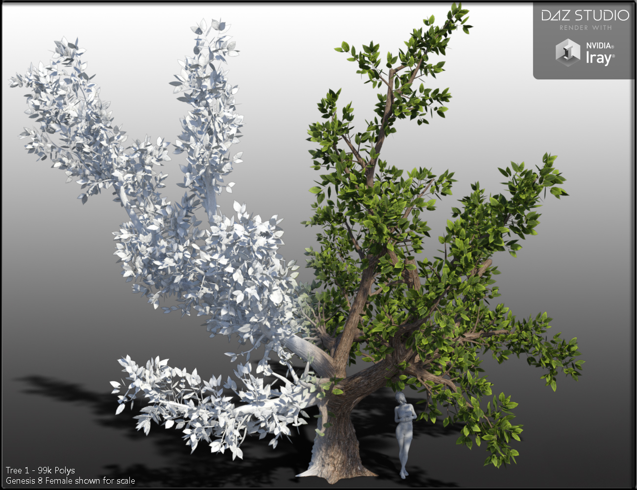 Climbing Trees | Daz 3D