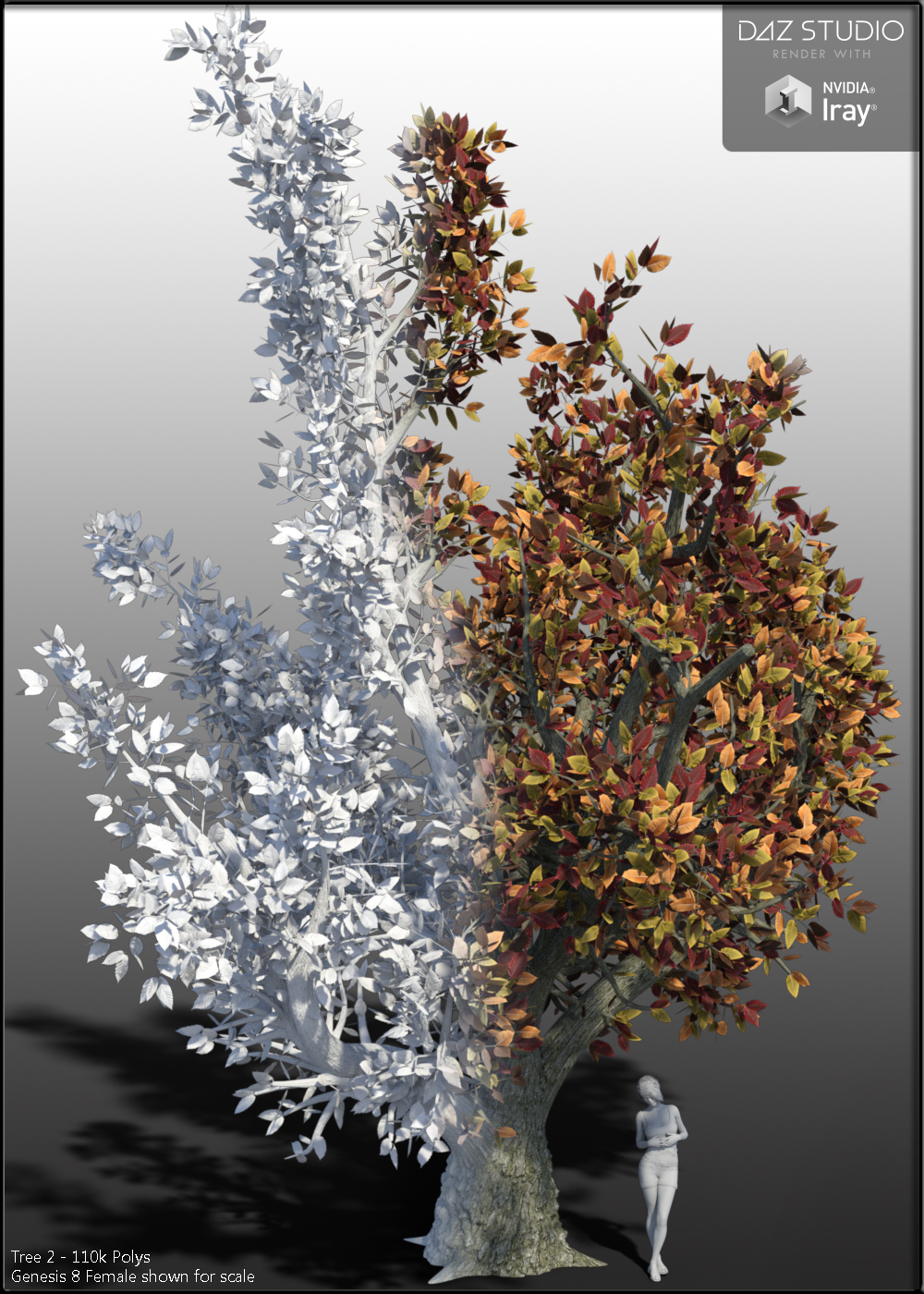Climbing Trees | Daz 3D