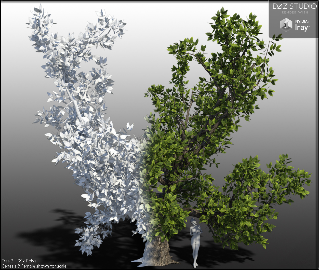 Climbing Trees | Daz 3D