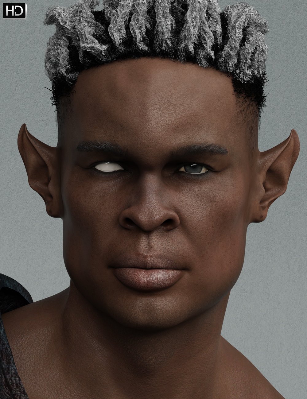 Raynard HD for Michael 8 | Daz 3D