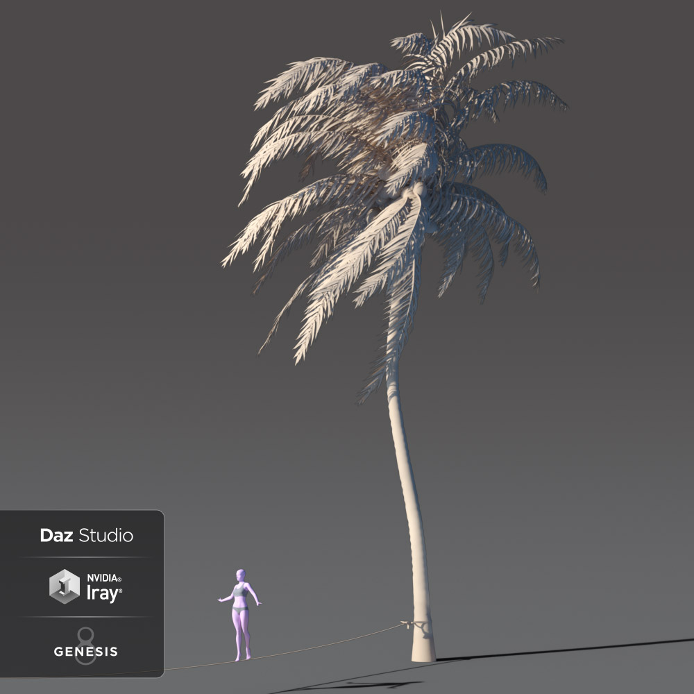 Slackline and Poses for Genesis 8 | Daz 3D