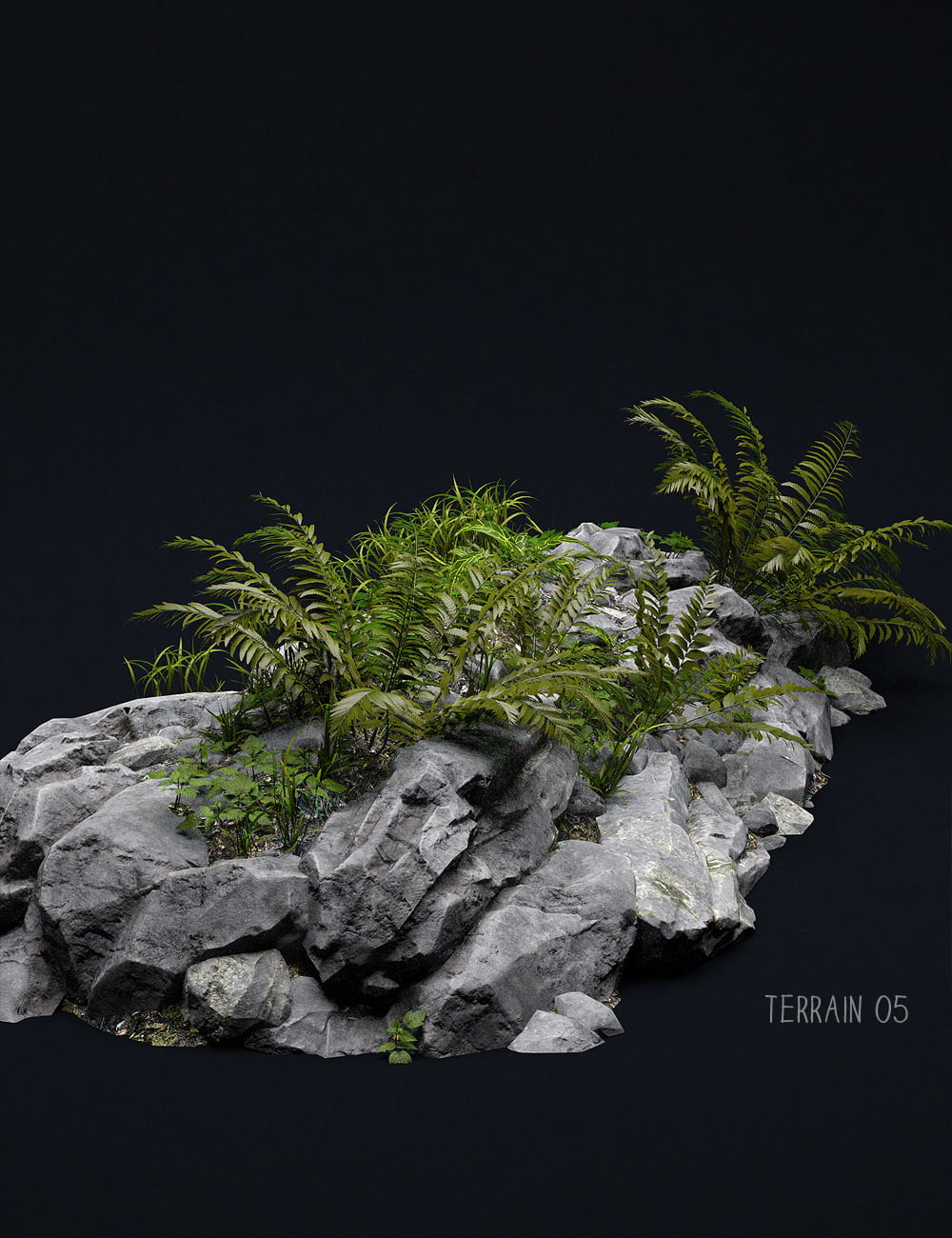 Jungle Construction Kit 02 | Daz 3D