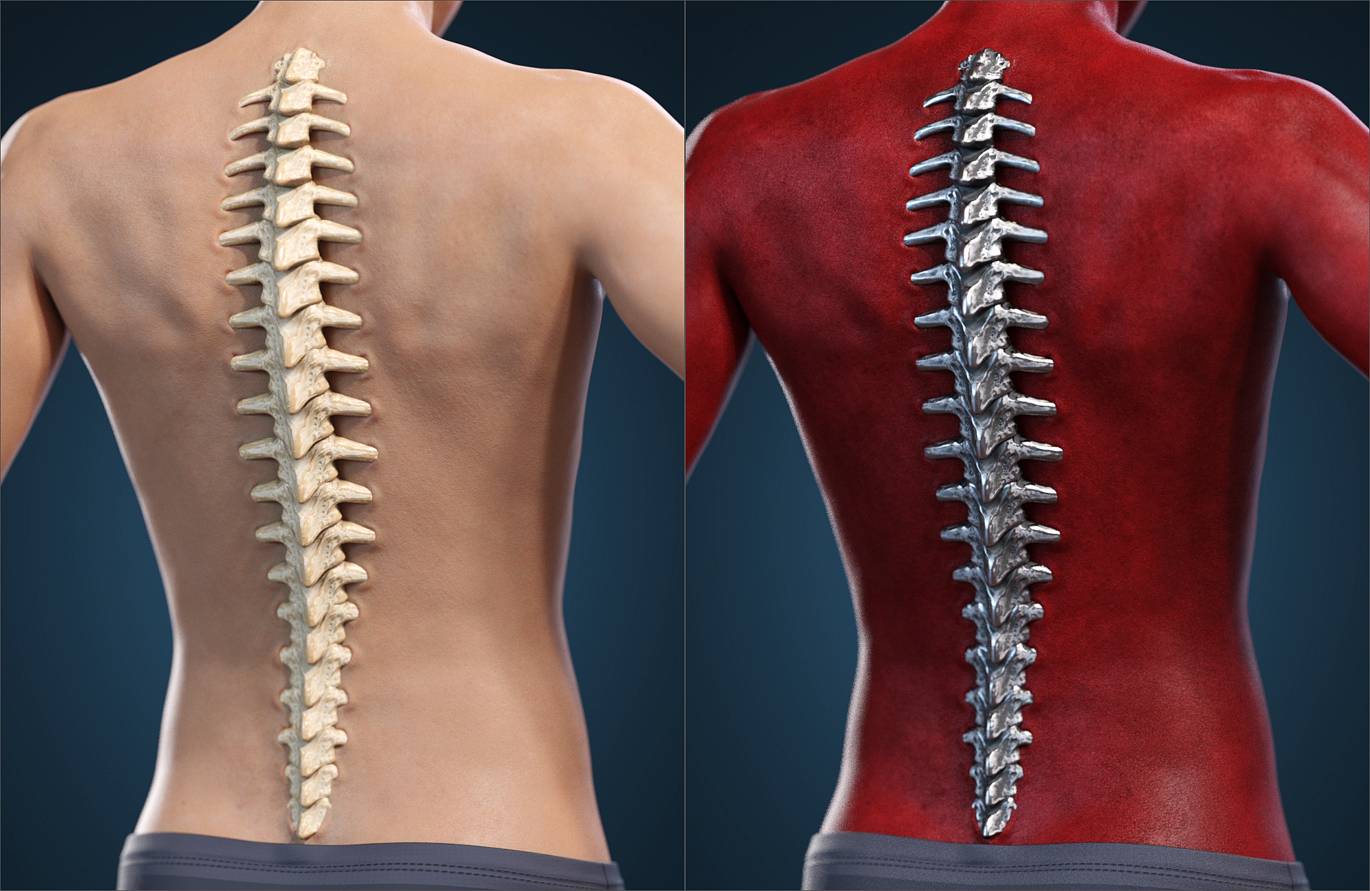 Nix 8 | Daz 3D