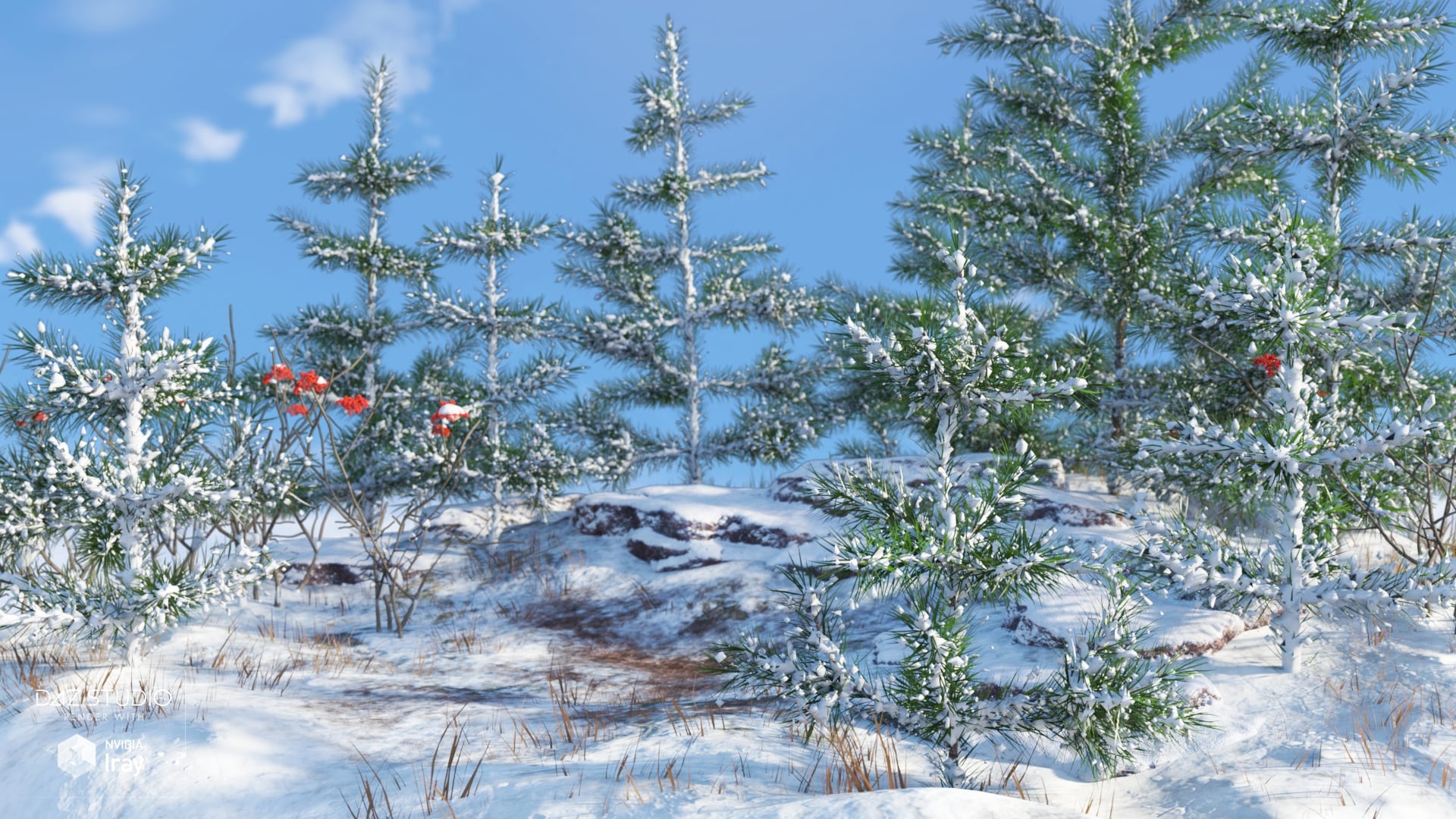 Cozy Winter | Daz 3D