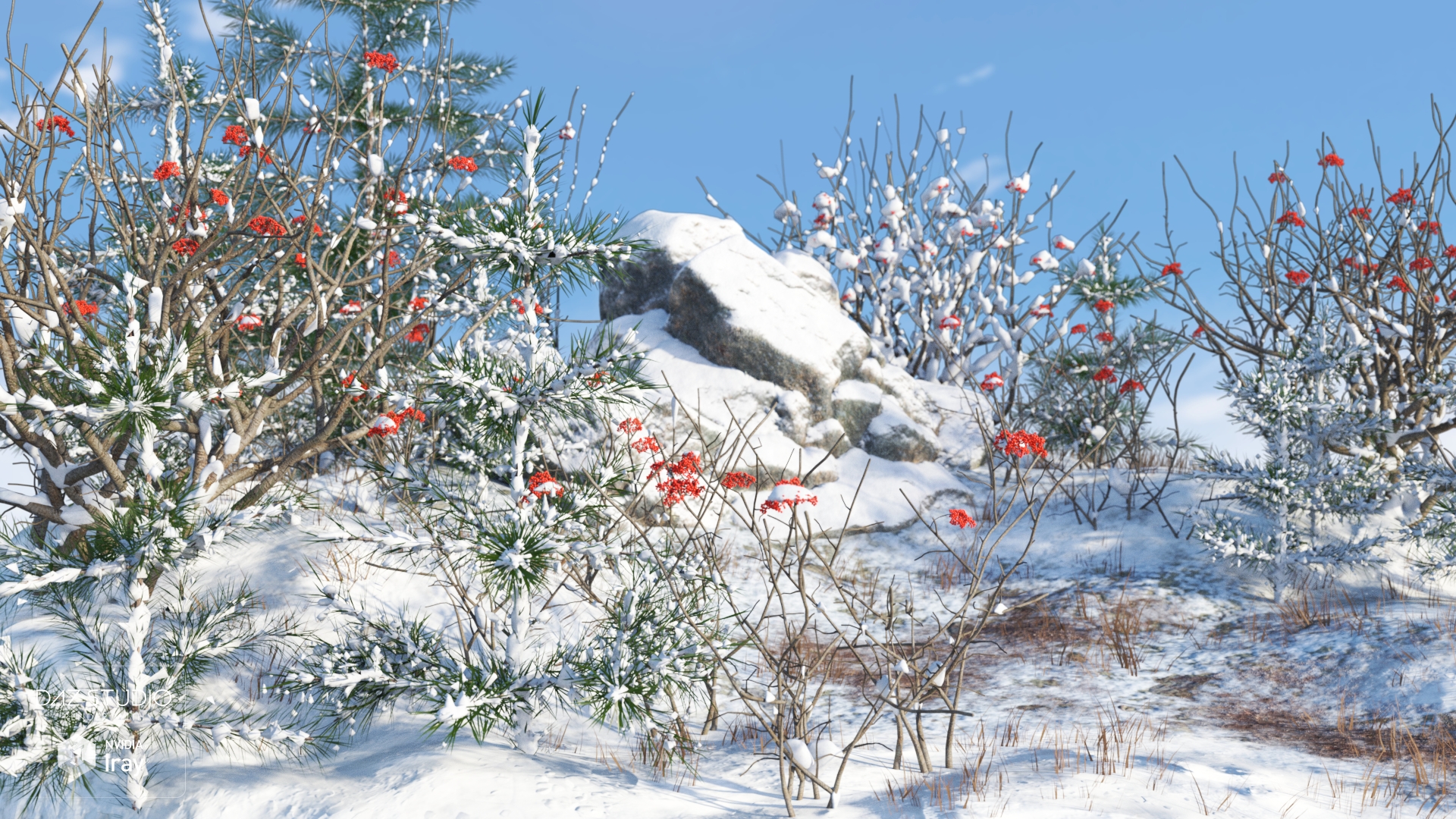 Cozy Winter | Daz 3D