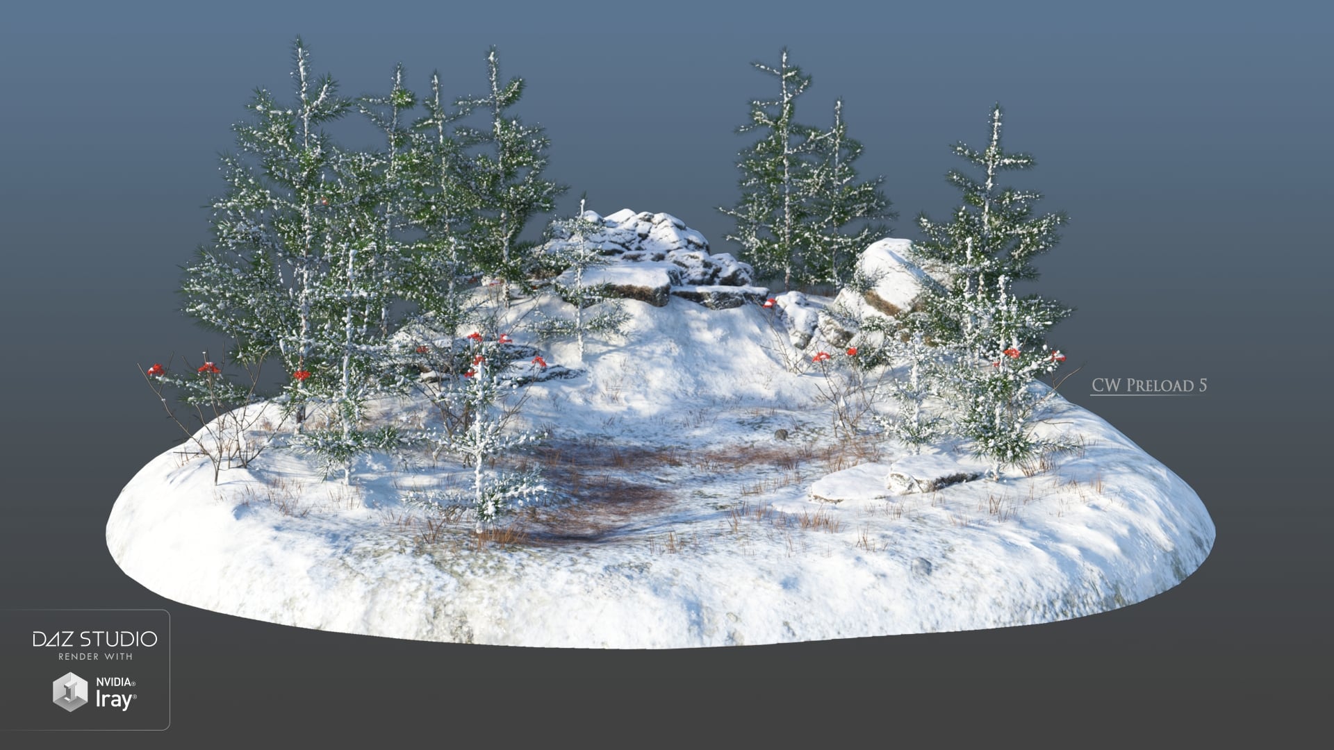 Cozy Winter | Daz 3D