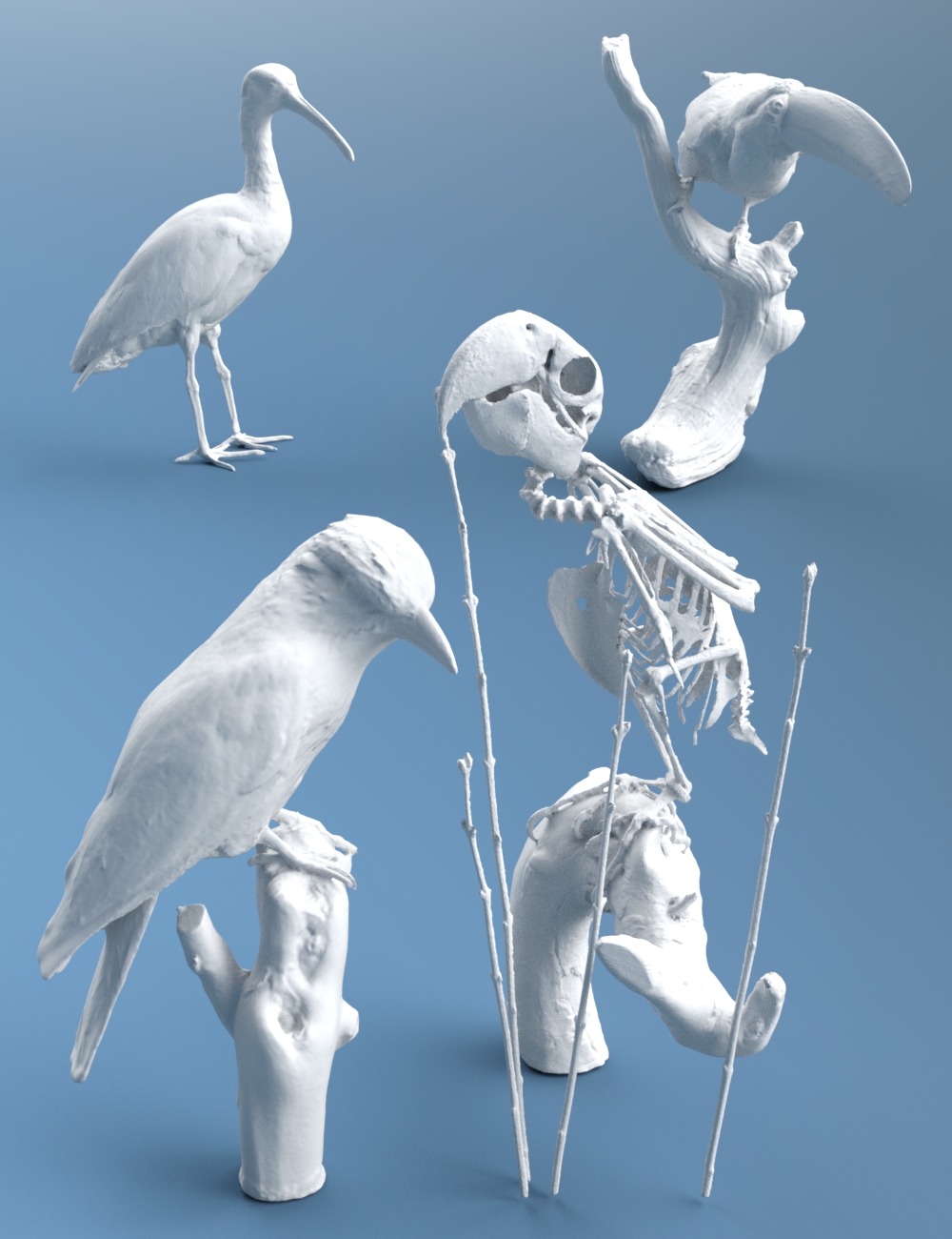 4 Bird Props | Daz 3D