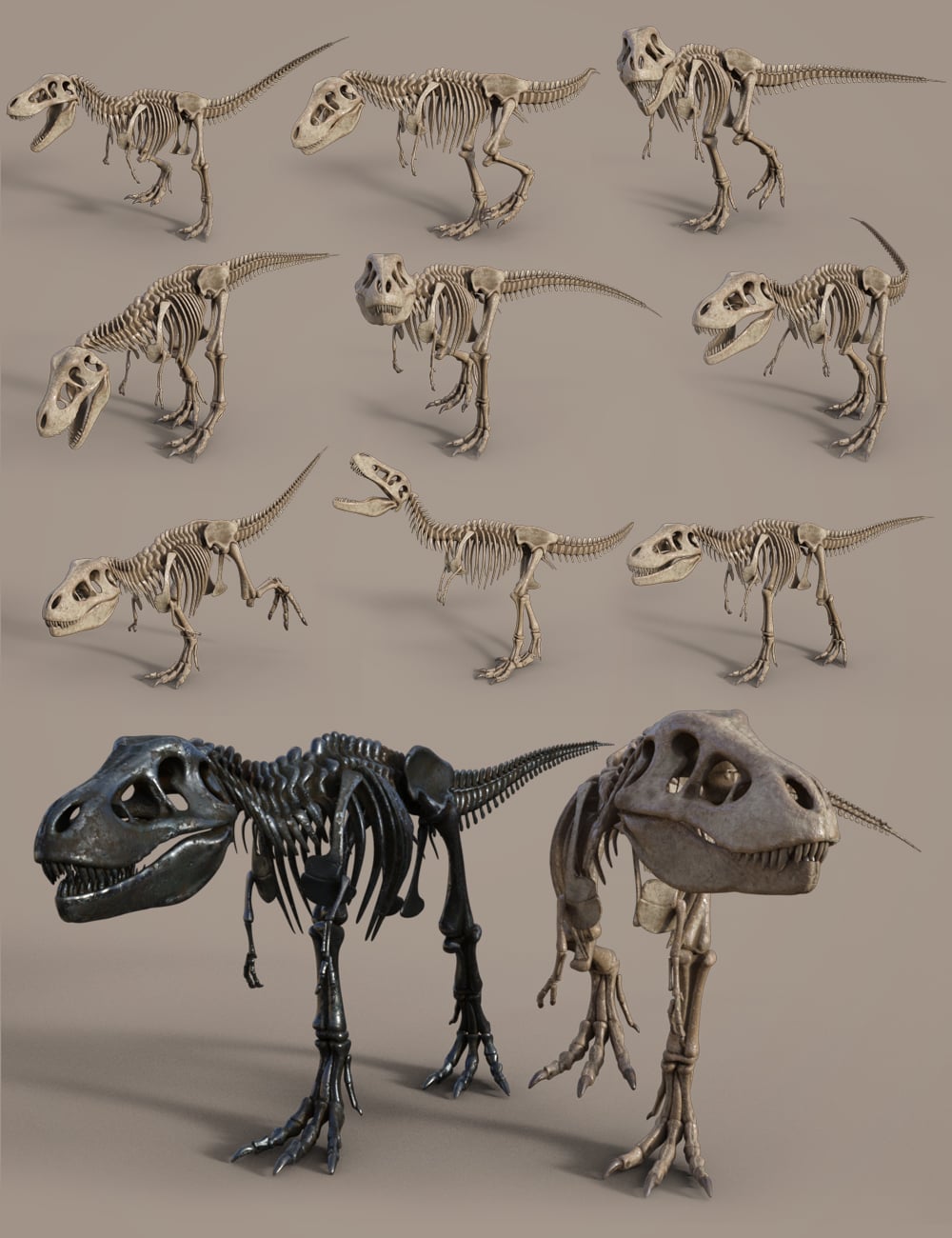 Dinosaur Exhibition Gallery | Daz 3D