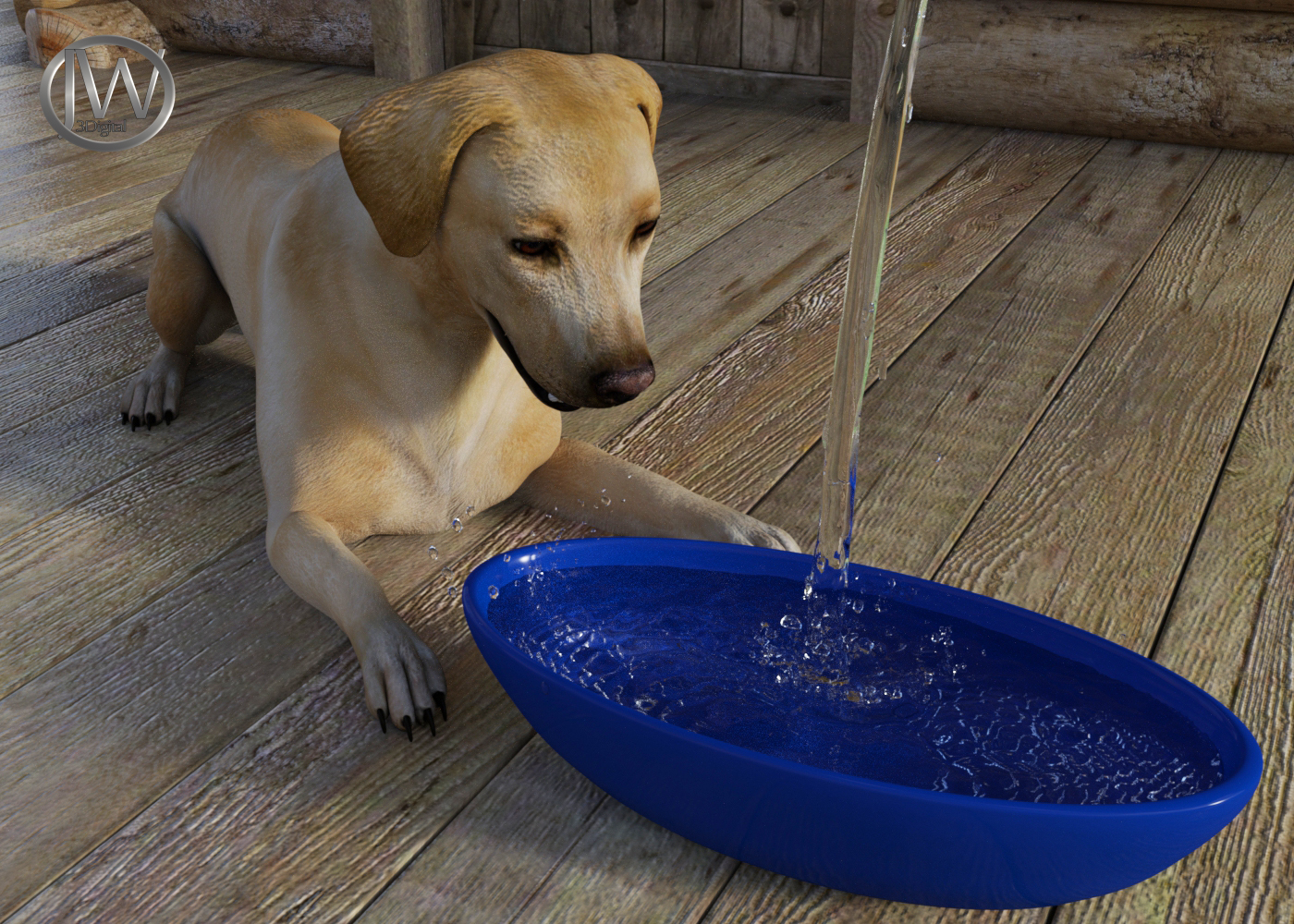 JW 3D Water Props | Daz 3D