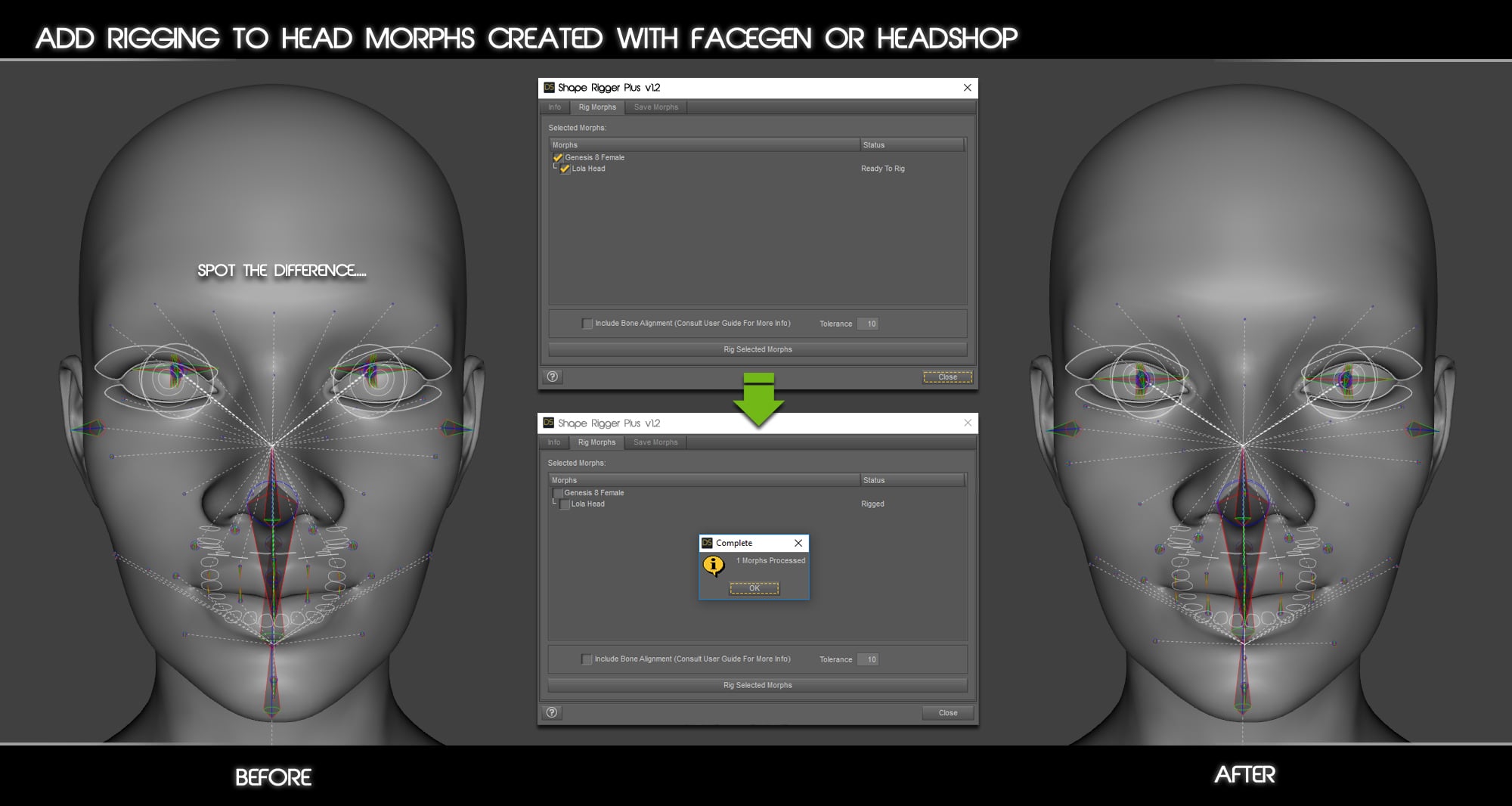 Shape Rigger Plus | Daz 3D