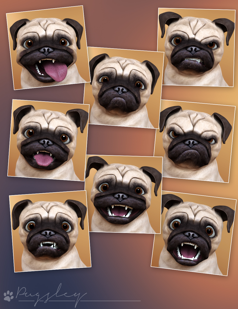 Pugsley the Stylized Pug | Daz 3D