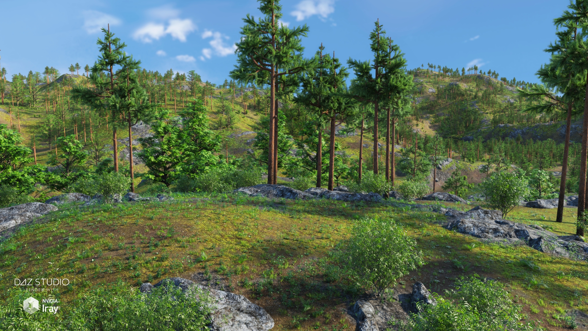 Medieval Lands | Daz 3D