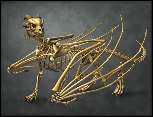 The Bone Dragon | Daz 3D