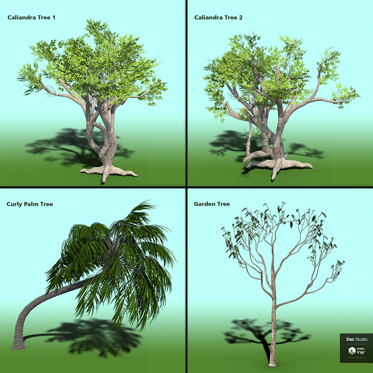 Variety of Tree Species for Iray | Daz 3D