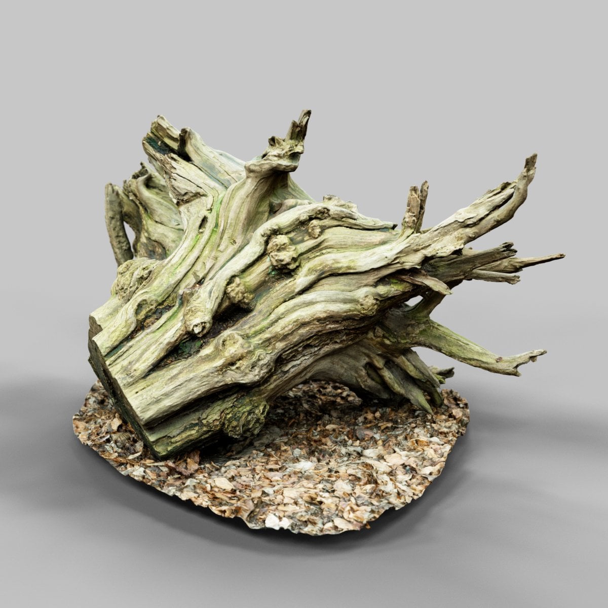 Tree Roots and Branches | Daz 3D