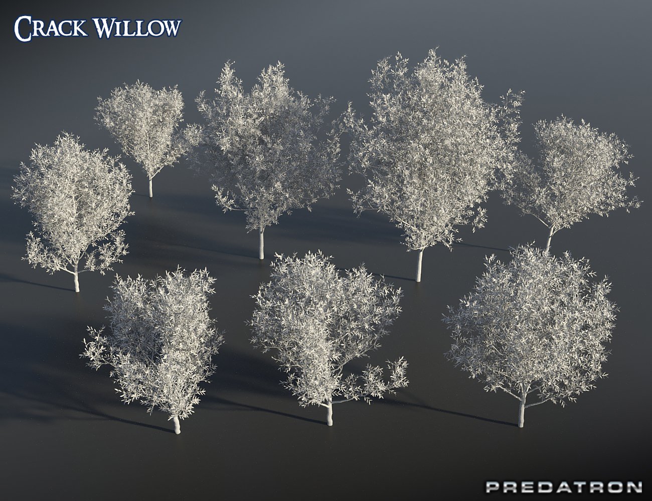 Predatron Crack Willow Trees | Daz 3D