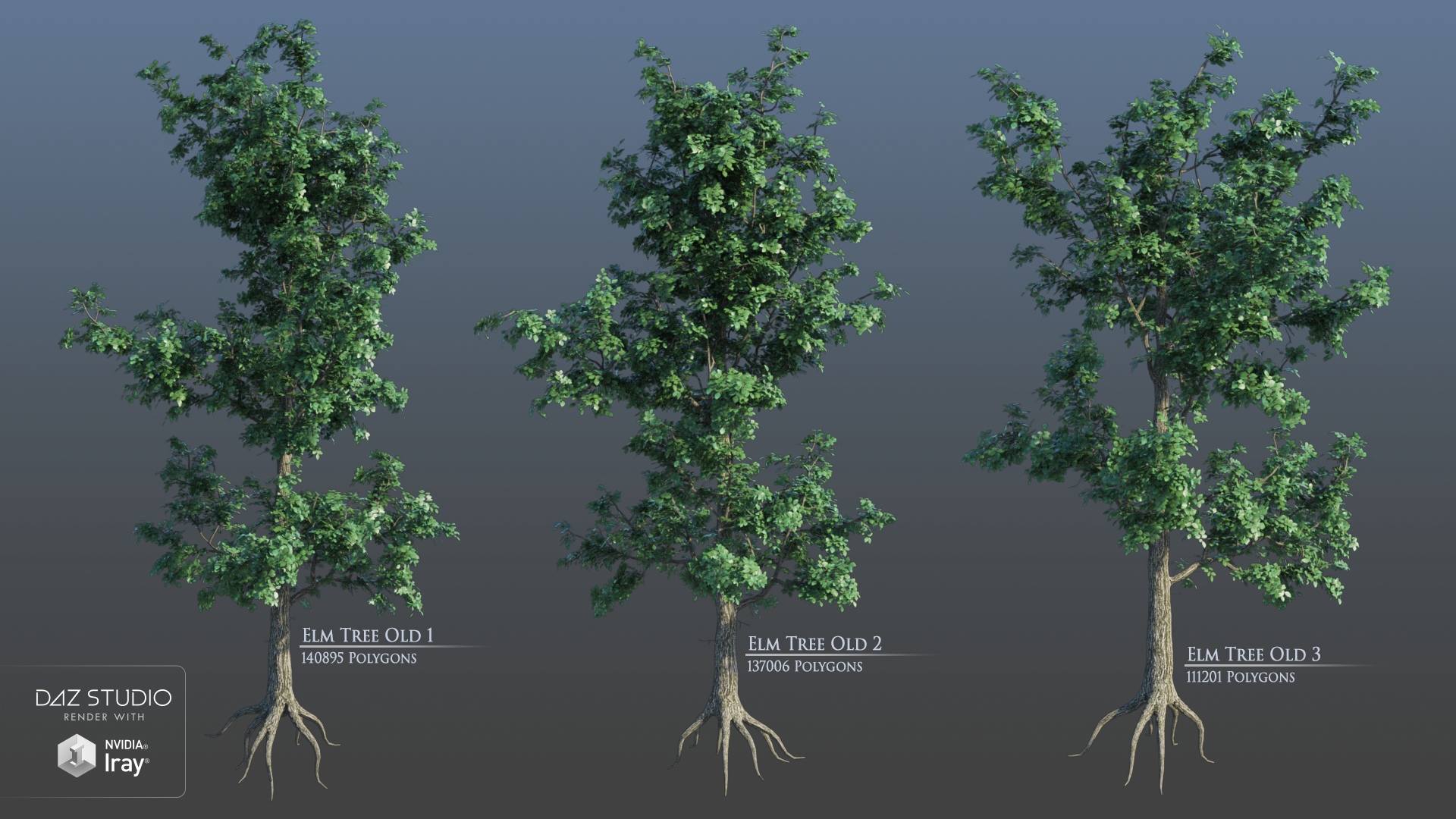 European Trees | Daz 3D