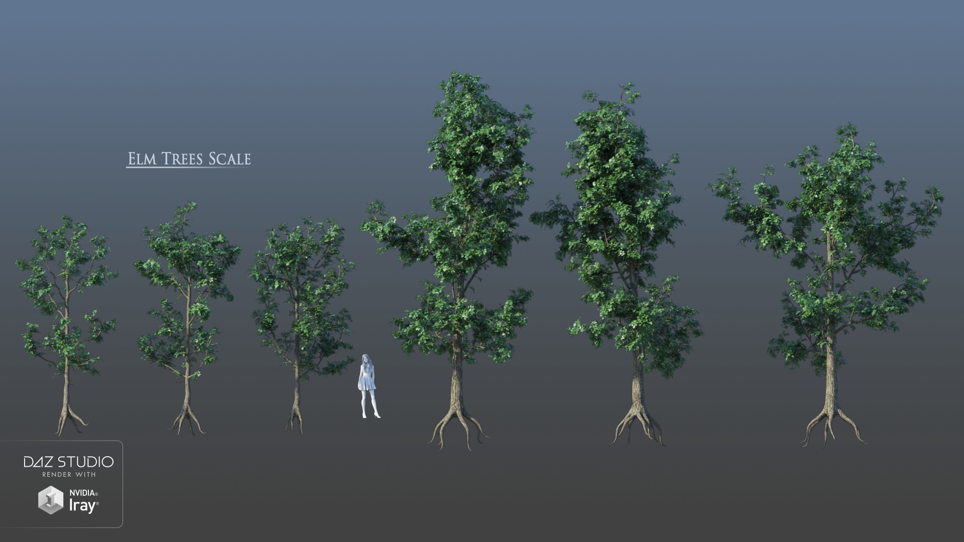 European Trees | Daz 3D