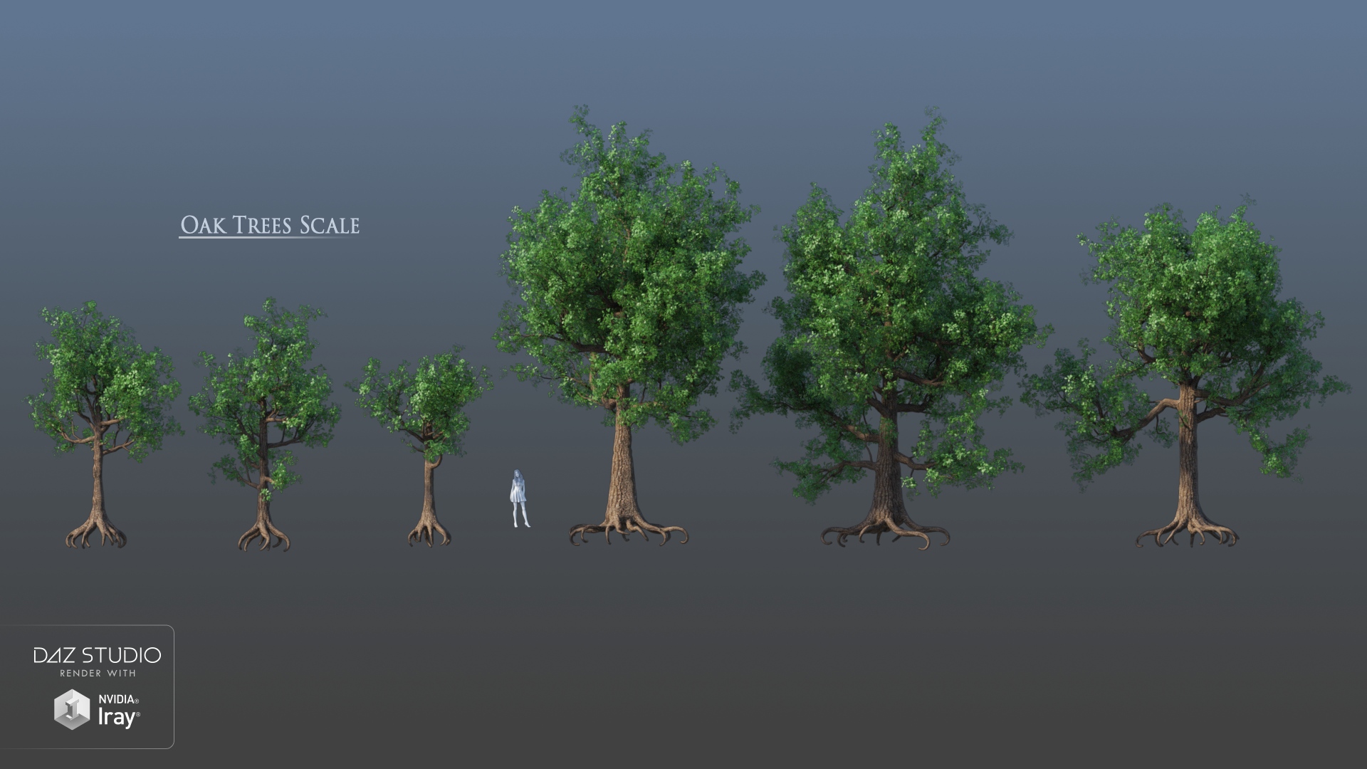 European Trees | Daz 3D