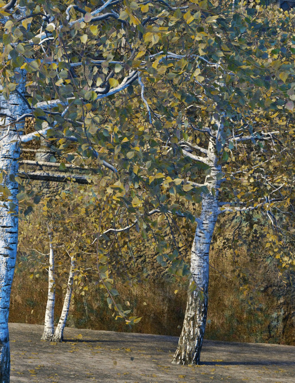 v176 Iray Birch Trees | Daz 3D