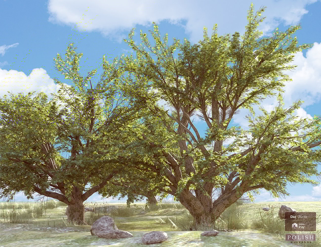 Beautiful Nature Trees | Daz 3D