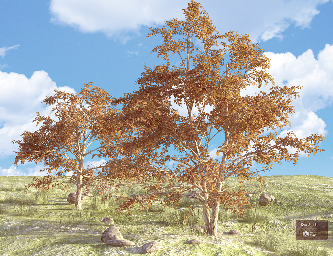 Beautiful Nature Trees | Daz 3D