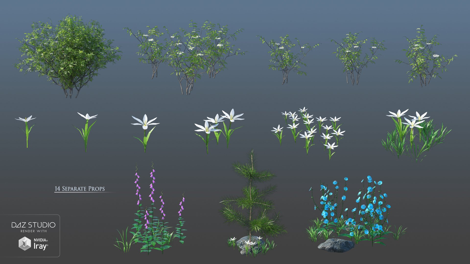 Blossoming Spring Modules | Daz 3D