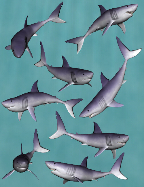 Shark Poses | Daz 3D
