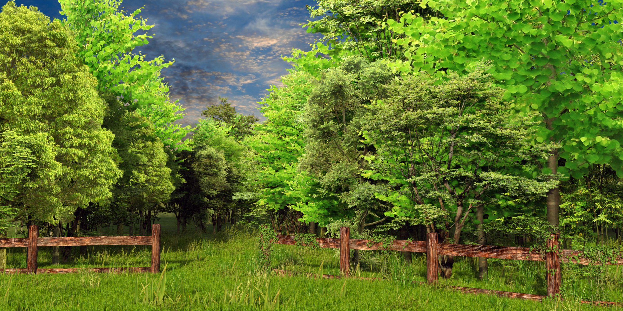Forests Trees and Grass World Building Set | Daz 3D
